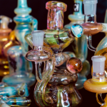 Cannabis Plant Anatomy 101: From Bracts to Xylem | EarthMed